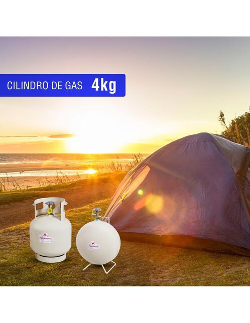 Tanque de gas LP 4 kg Flamineta 2