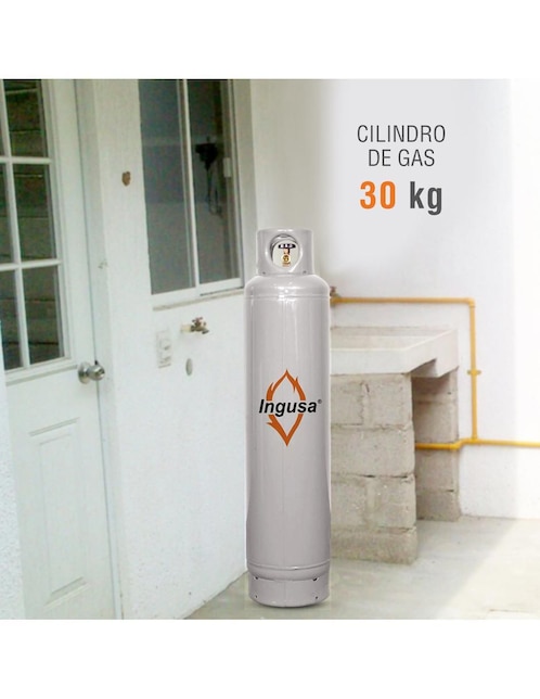 Tanque de gas LP 30 kg Ingusa 4